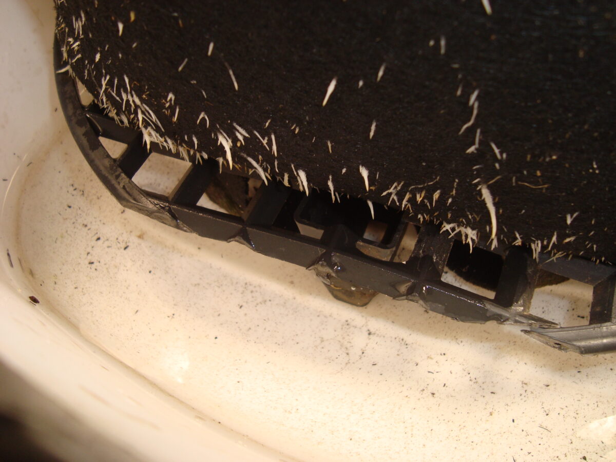 Real Grow Lab – Join Our Growing Community