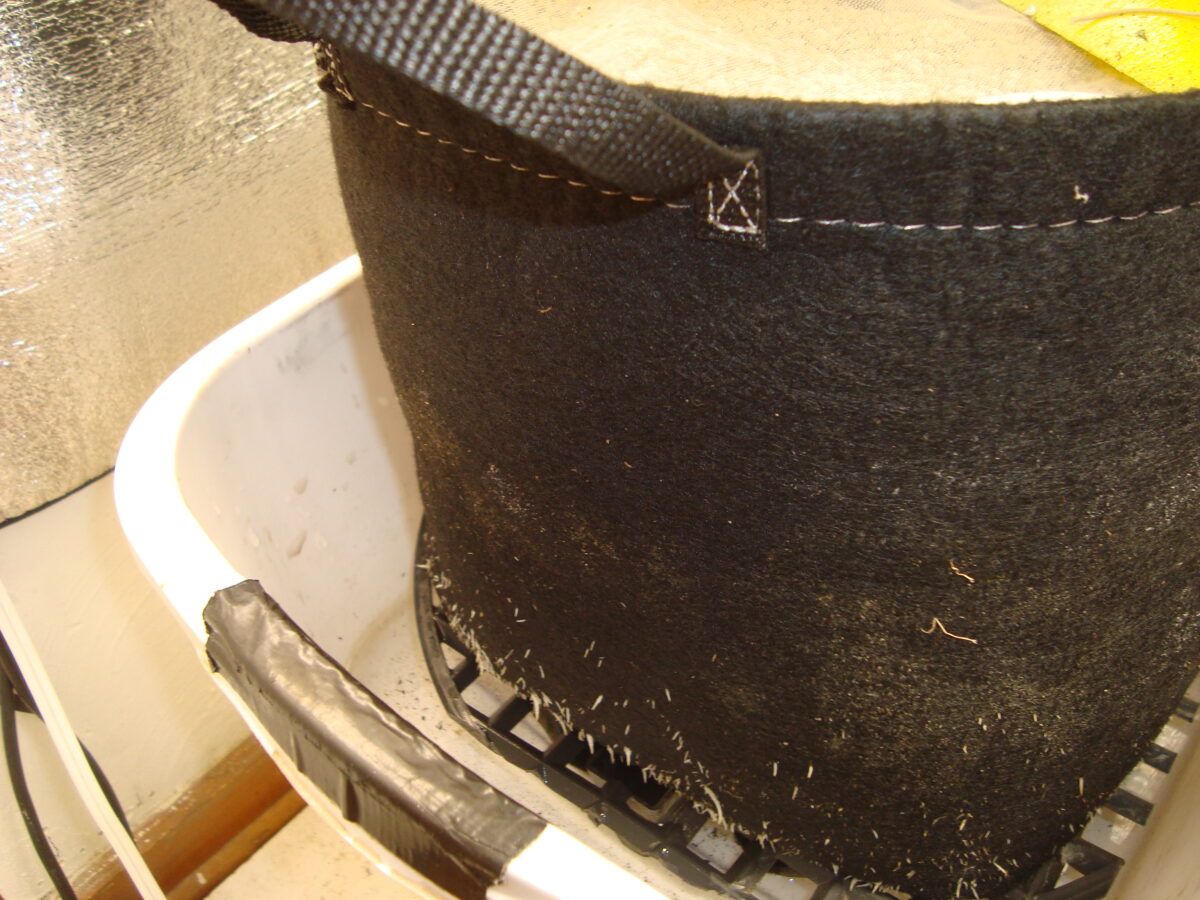 Real Grow Lab – Join Our Growing Community